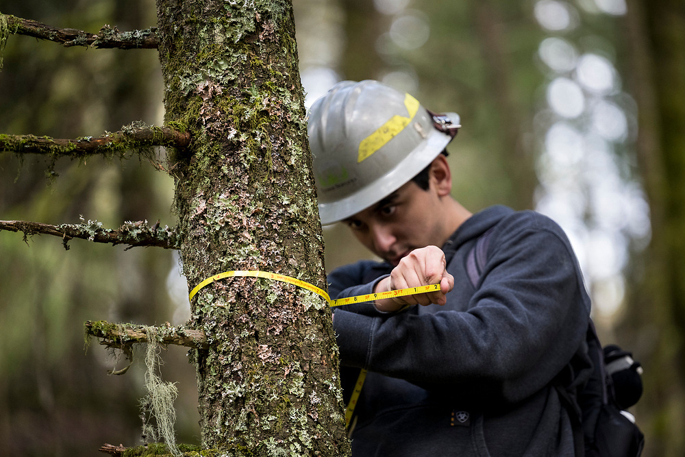 College of Forestry finalizes new management plan for OSU’s McDonald-Dunn Research Forest ...