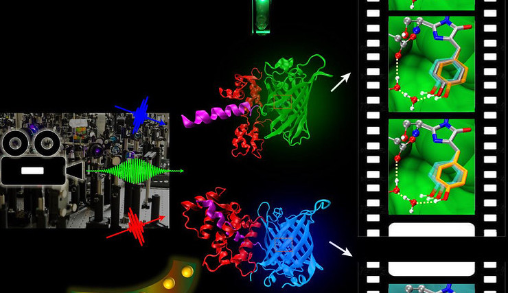 Molecular Movie Tech Unveils New Pollution Defense | Mirage News