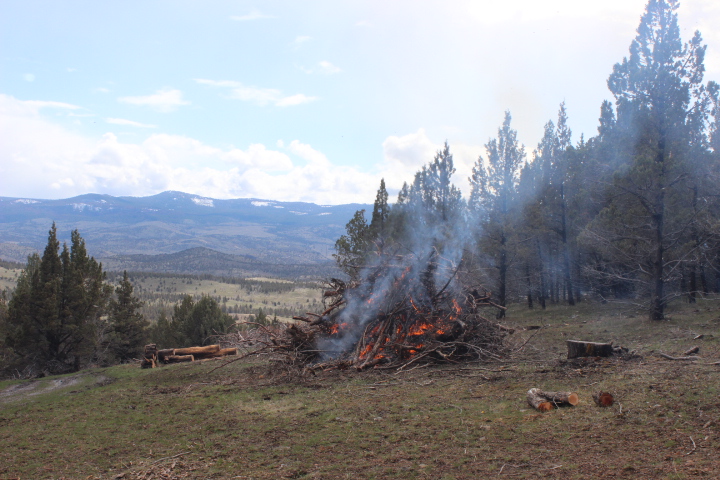 OSU ember research: Smaller branches pack the fastest, biggest fire ...