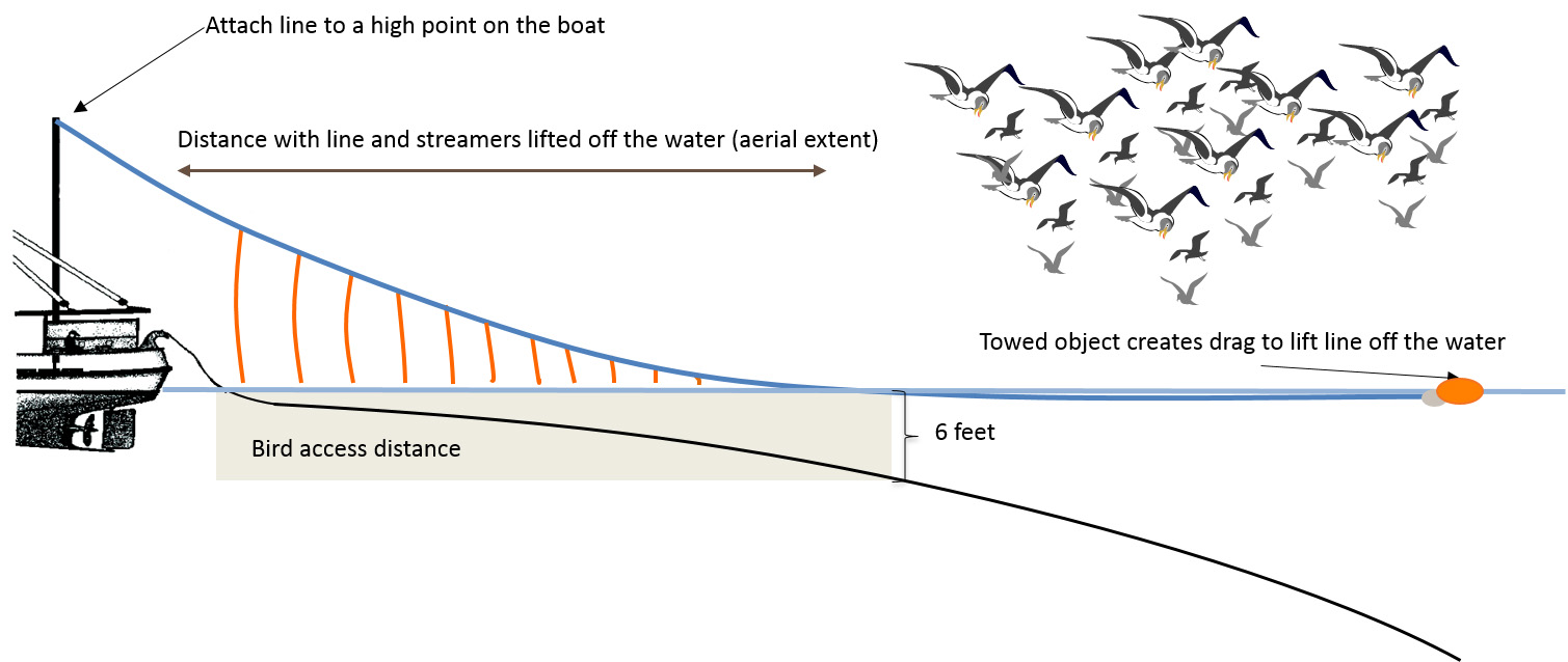Collaborative project between researchers, fishermen aims to reduce ...
