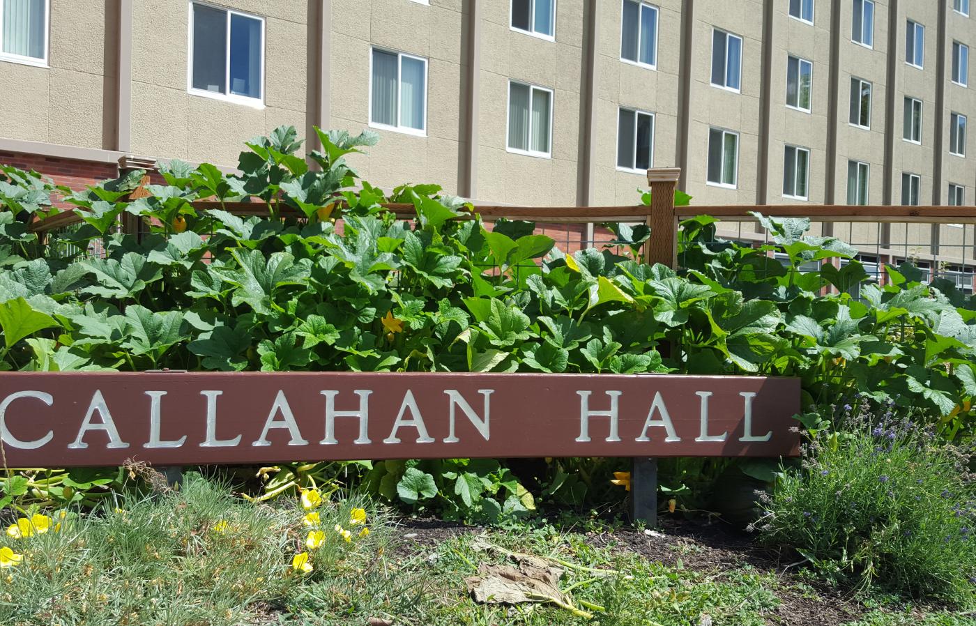 Organic gardens transform OSU landscapes, provide local food source ...