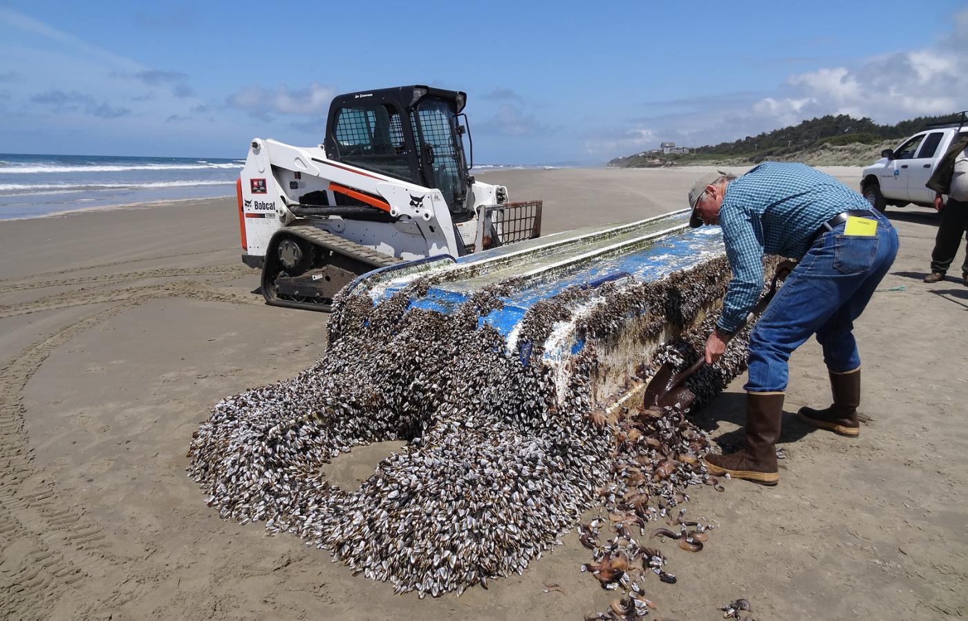 Scientists prepare for another wave of tsunami debris, possible ...