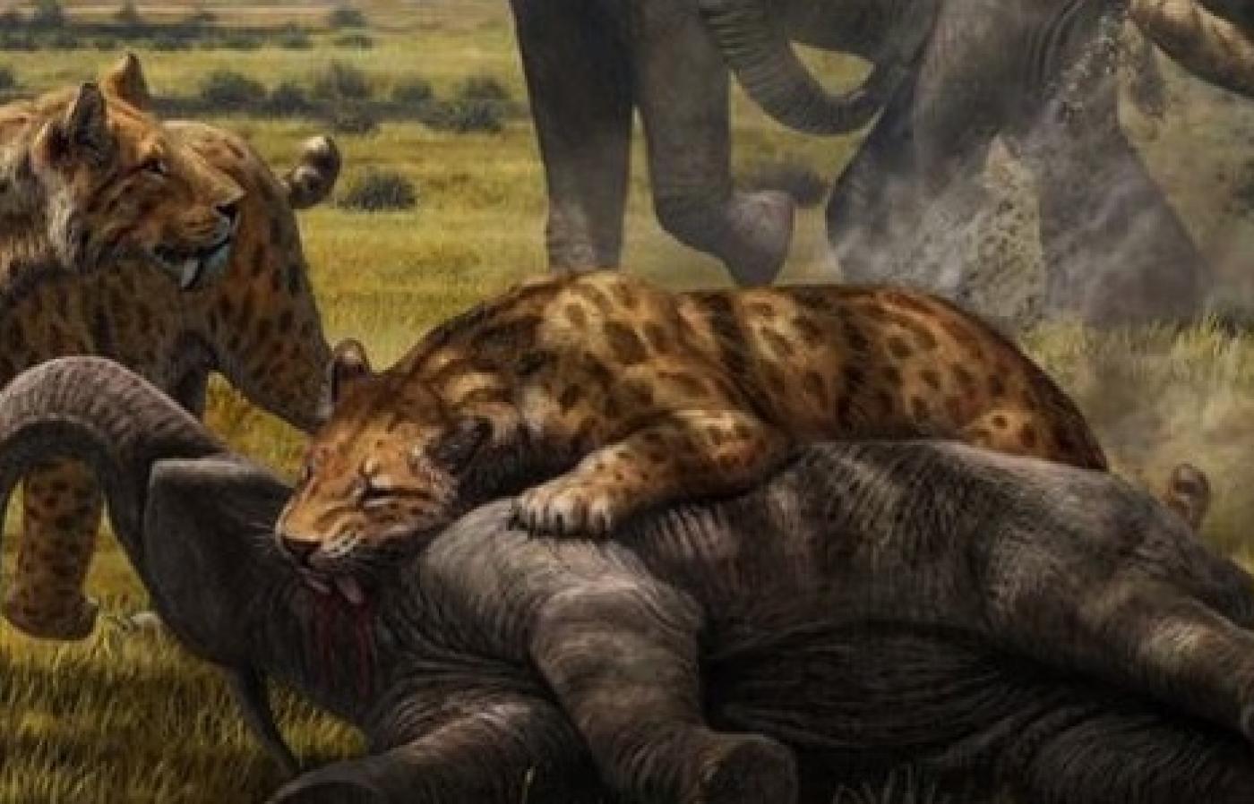 Prehistoric predators kept large animals in check, shaped ecosystems ...