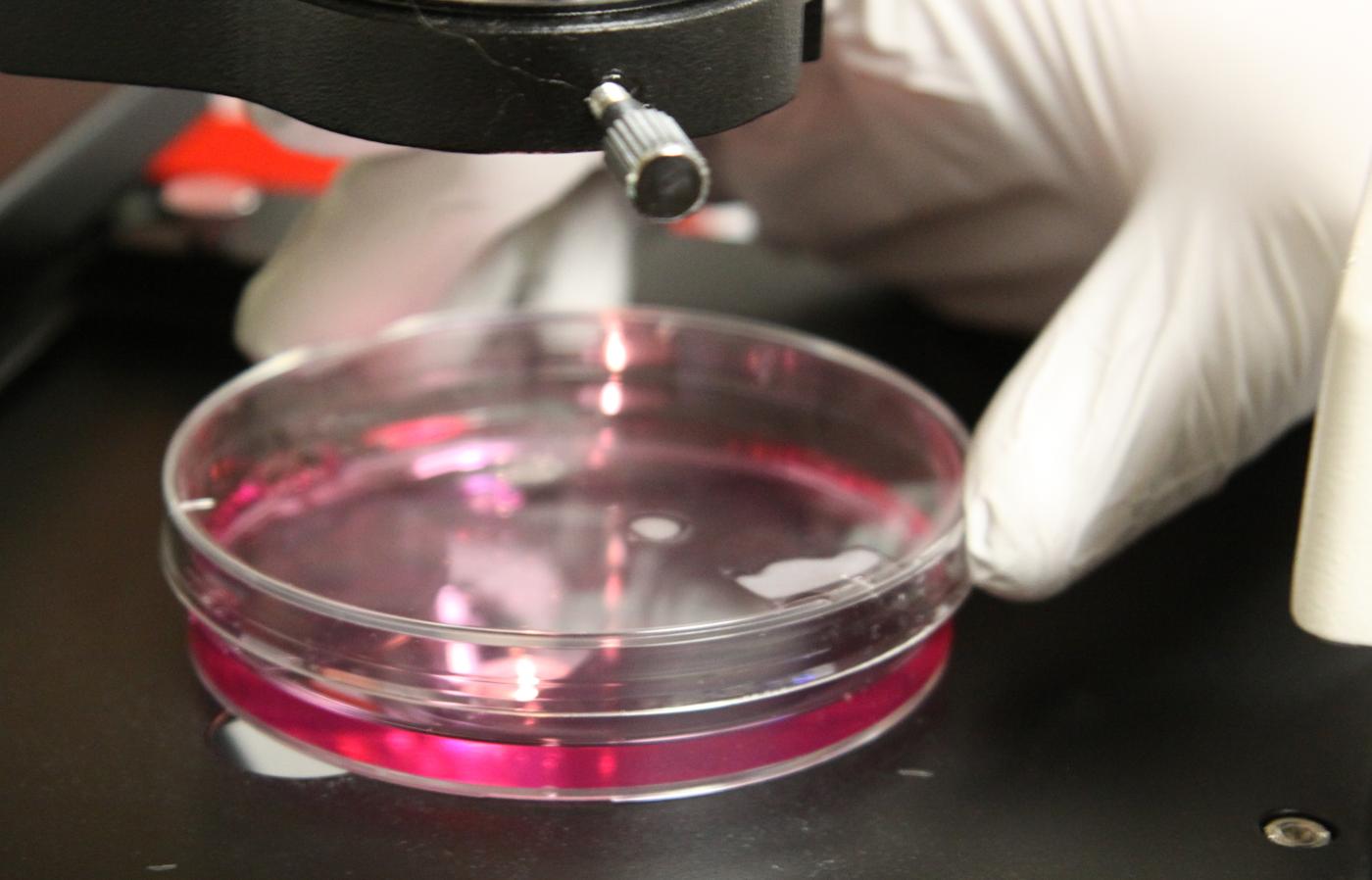 Review: Most clinical studies on vitamins flawed by poor methodology ...