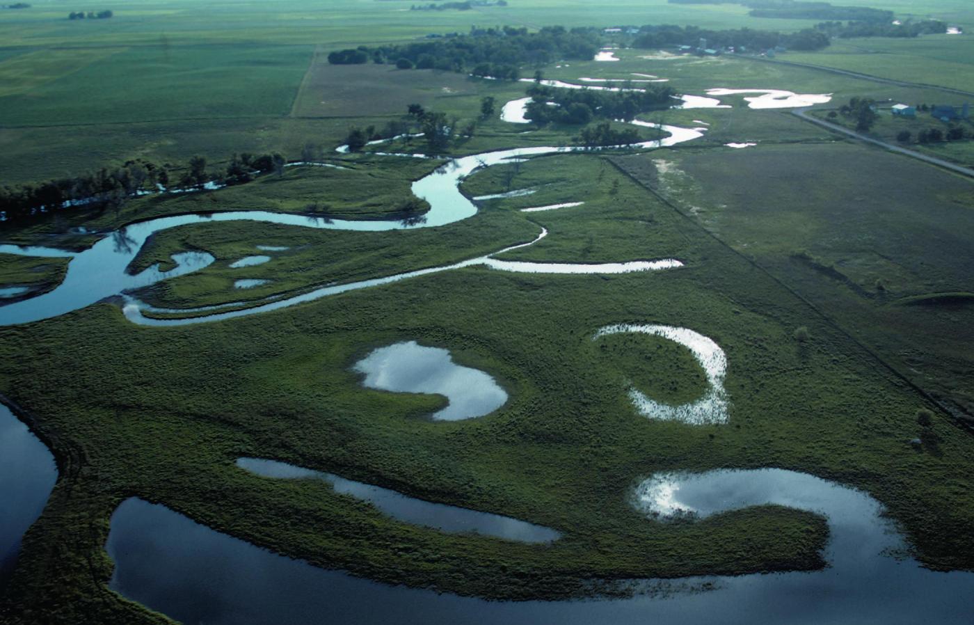Wetland enhancement in Midwest could help reduce catastrophic floods of ...