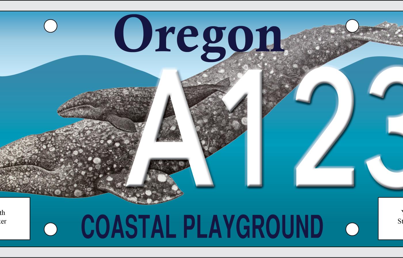 Whale lovers can support Marine Mammal Institute with new license plate ...