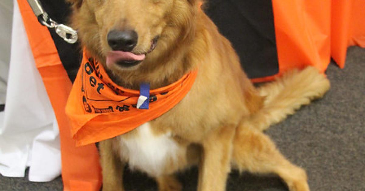 OSU Pet Day planned for May 4 | Newsroom | Oregon State University