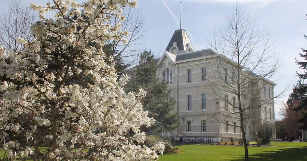 Oregon State University Food Drive surpasses last year’s totals ...