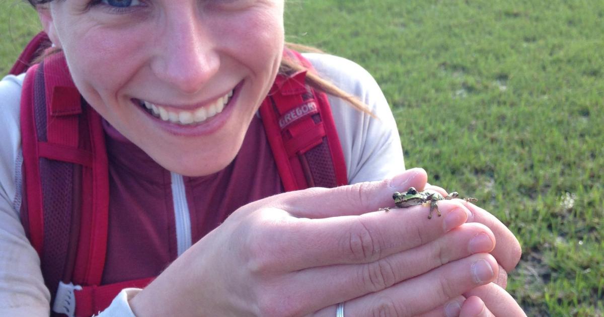 Mating call of the Pacific chorus frog can’t compete with traffic noise ...