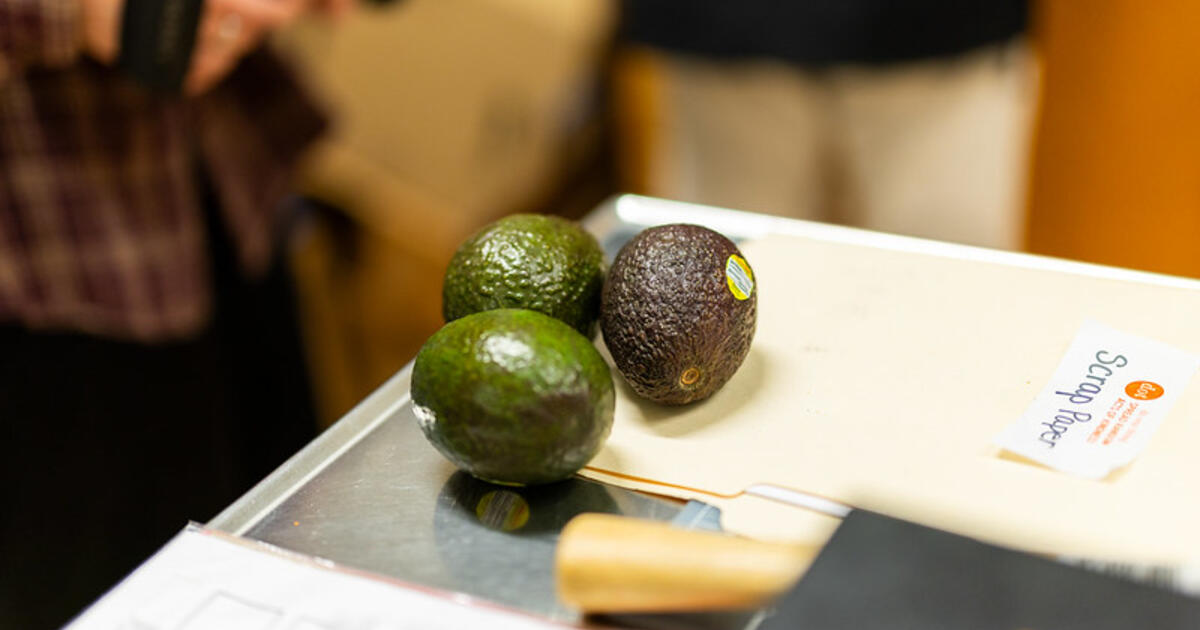 Smartphone-powered AI predicts avocado ripeness | Newsroom | Oregon ...