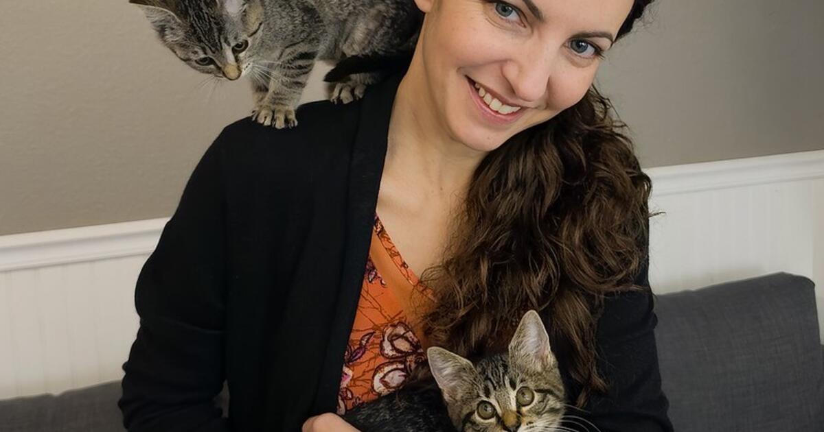 Human feelings influence beliefs about cat emotions and well-being ...