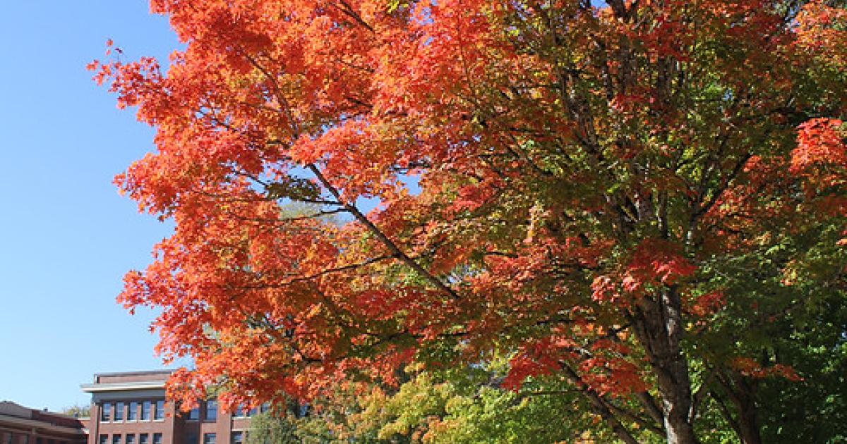OSU film scholar and Distinguished Professor Jon Lewis to speak Oct. 23 ...