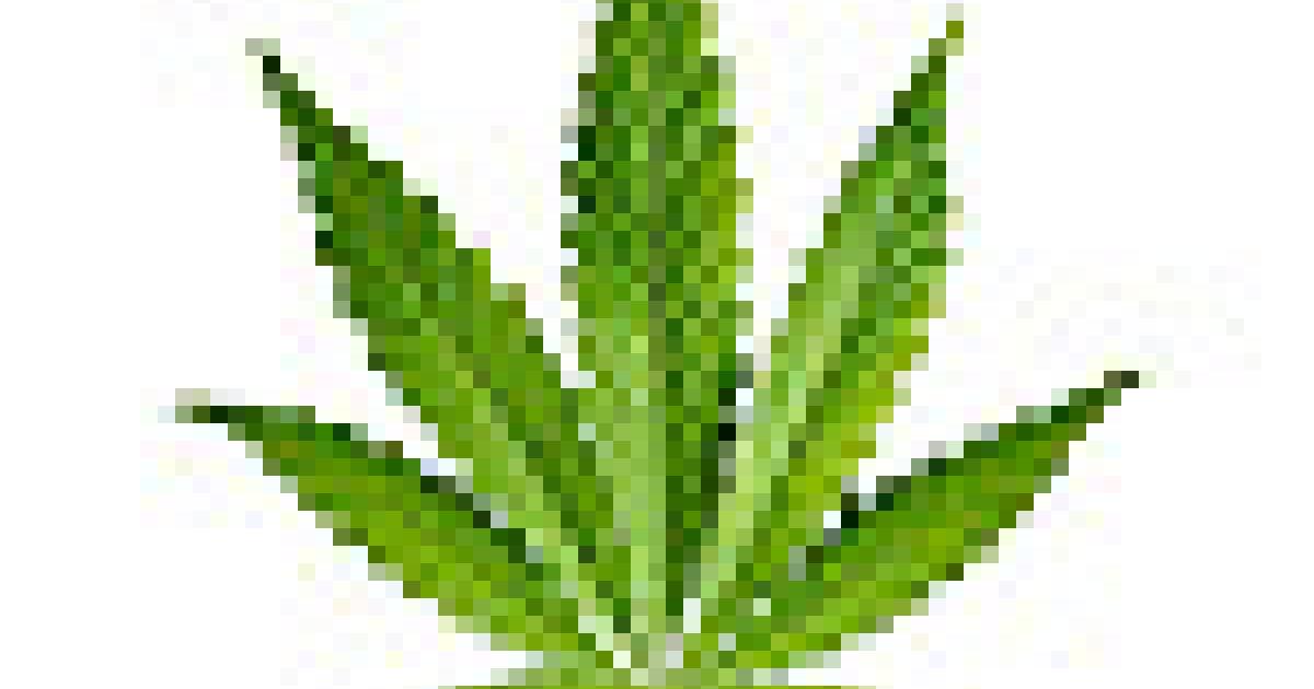 Marijuana use among college students on rise following Oregon ...