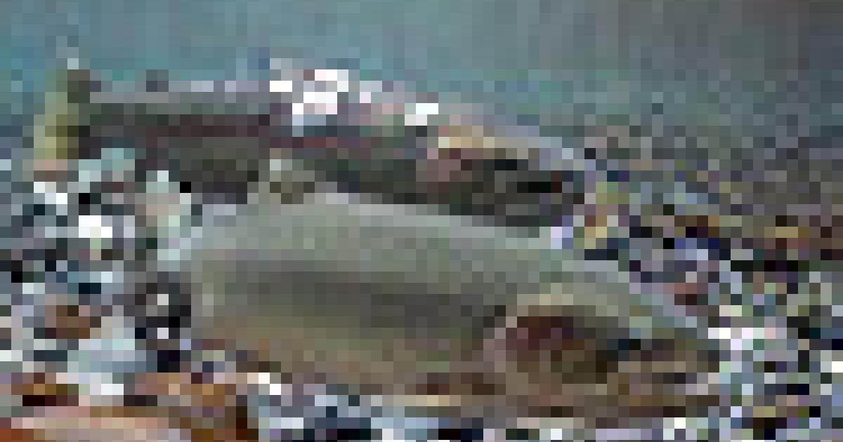 Iron, steel in hatcheries may distort magnetic "map sense" of steelhead ...