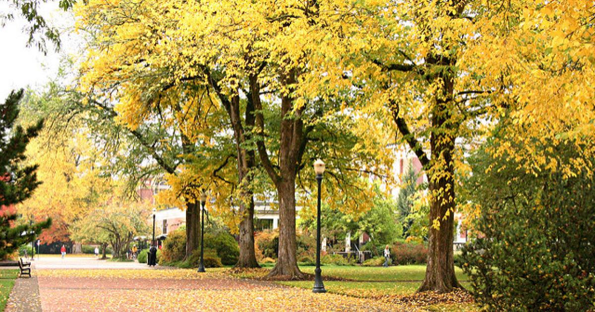 Oregon State University officials recount timeline related to ...