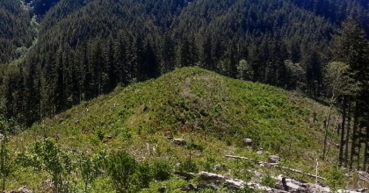 Public invited to presentation on Elliott State Research Forest ...