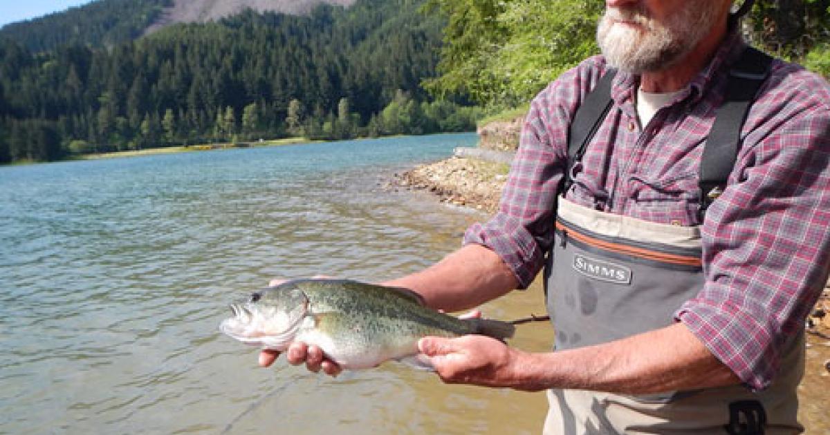 Extreme draining of Oregon reservoir aids young salmon and eliminates ...