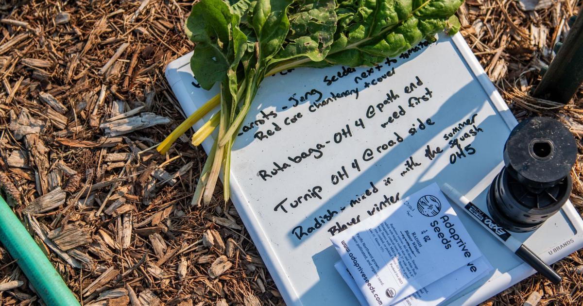 Free Level Up series offered by OSU Extension Master Gardeners focuses ...