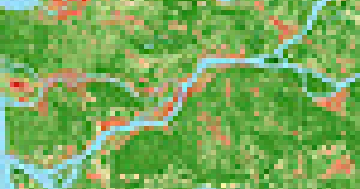 Greener neighborhoods lead to better birth outcomes, new research shows ...