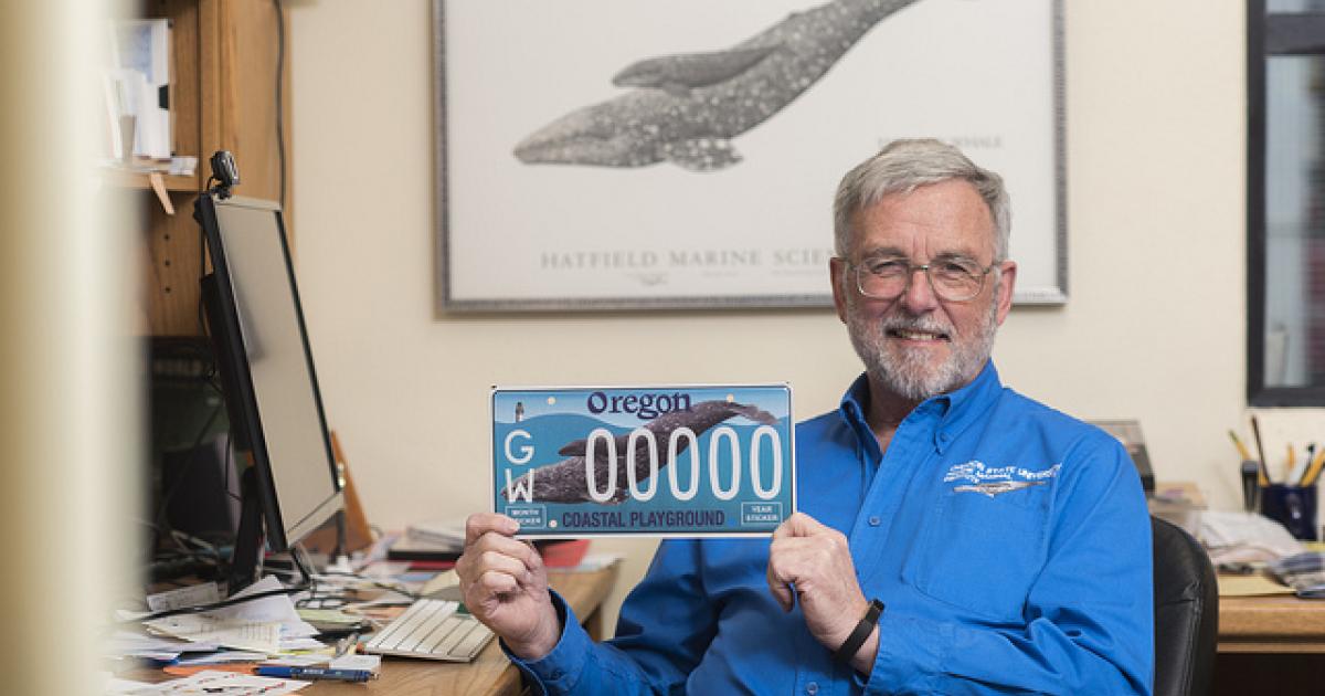 New Oregon license plate featuring gray whales available beginning Feb ...