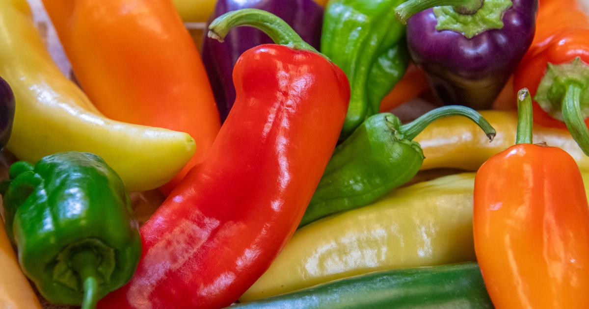 Growing peppers adds flavor to ethnic dishes | Newsroom | Oregon State ...