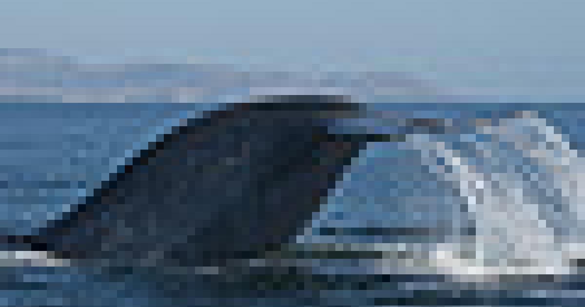 Study of Pacific predators shows importance of biological "hotspots ...