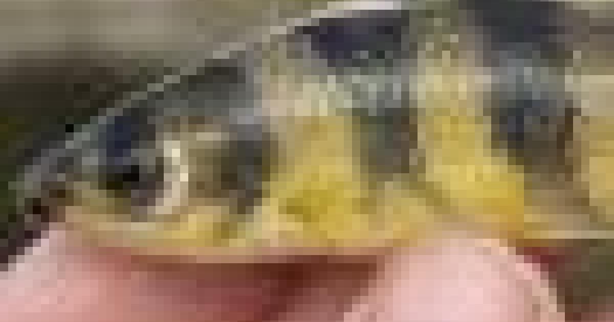 Scientists name new species of fish from the Orinoco region after ...