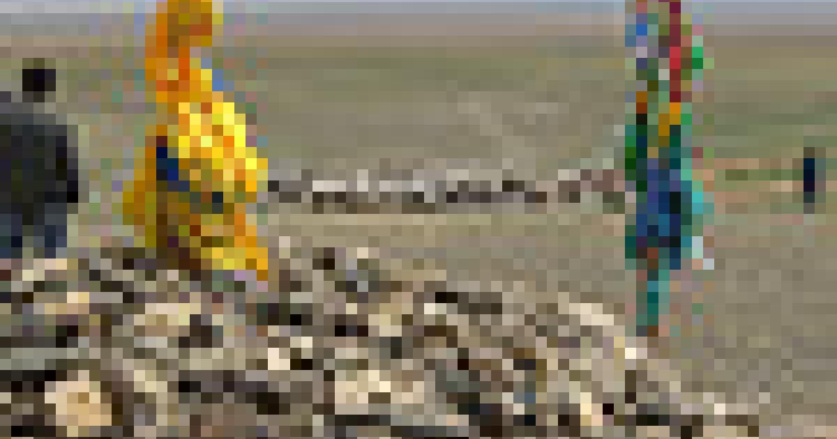 Overgrazing turning parts of Mongolian Steppe into desert | Newsroom ...