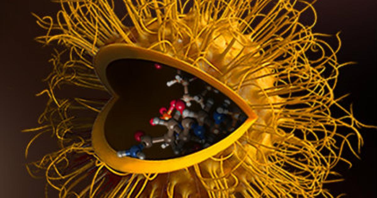OSU researcher expands research into deadly muscle-wasting syndrome ...