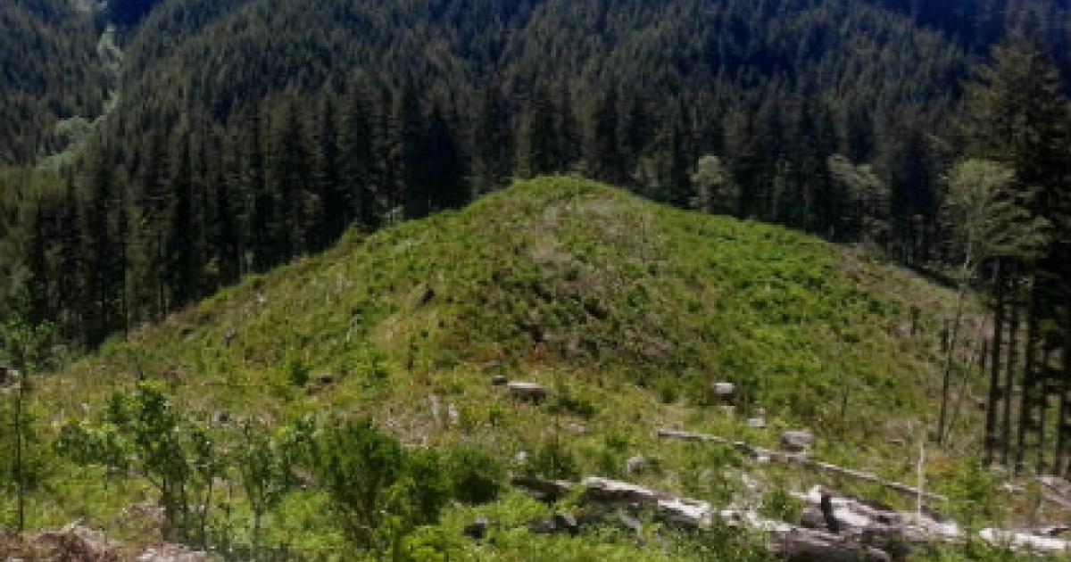 Public invited to meetings to discuss future of the Elliott State ...