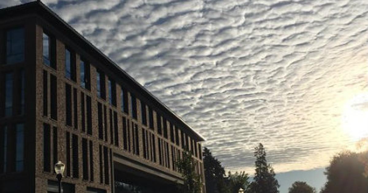 OSU startup’s technology will give boost to wide range of scientific ...