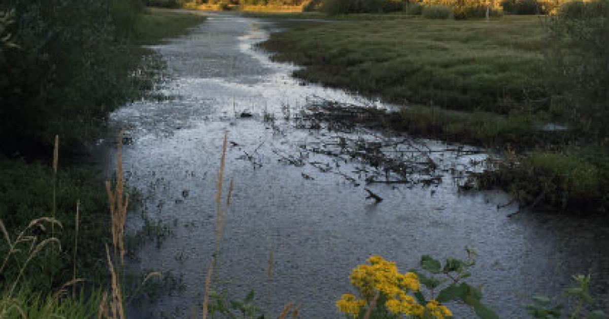 Large wildfires bring increases in annual river flow | Newsroom ...