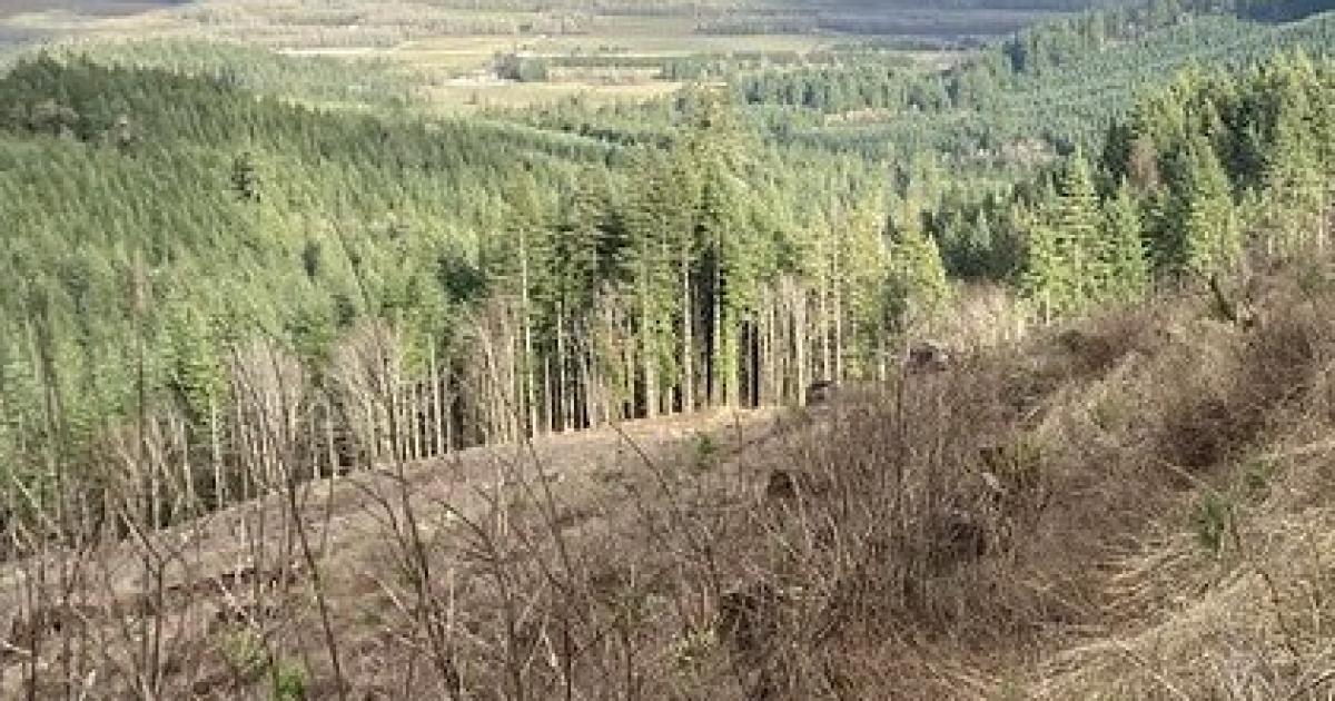 Public invited to June 5 input session for Oregon State McDonald-Dunn ...