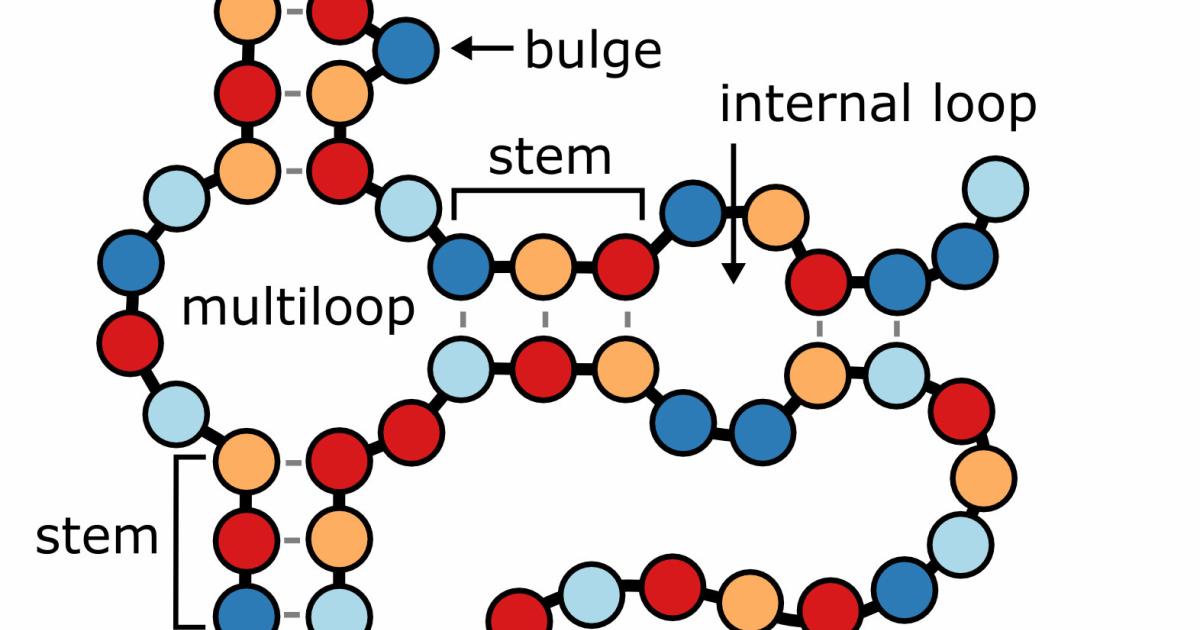 Annotation tool provides step toward understanding links between ...