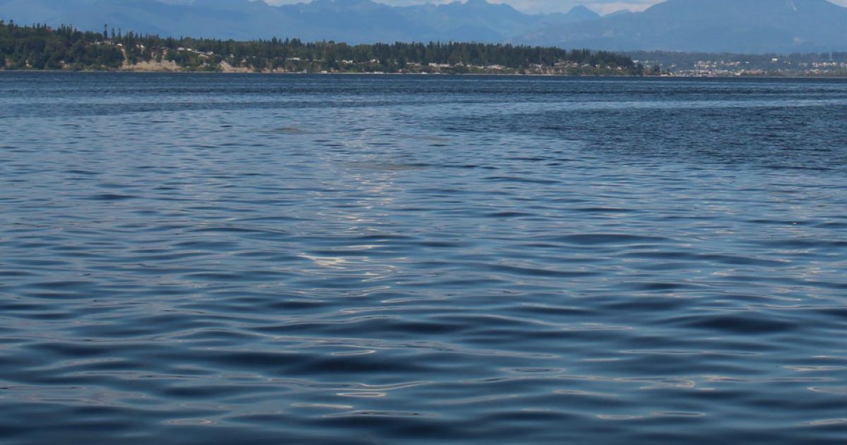 Scientists use hydrophone to listen in on methane seeps in ocean, hope ...