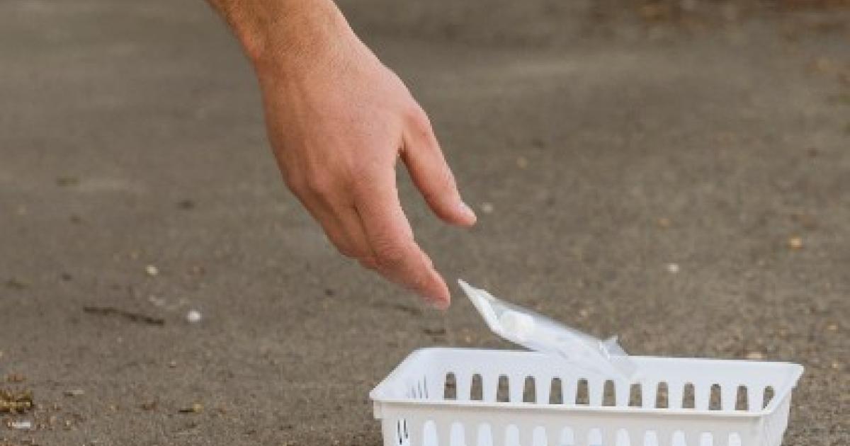 Oregon State University, University of Oregon team up to bring TRACE ...