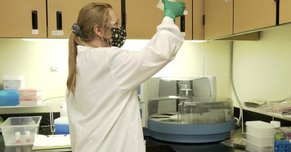 New federal certification streamlines OSU veterinary lab’s COVID-19 ...